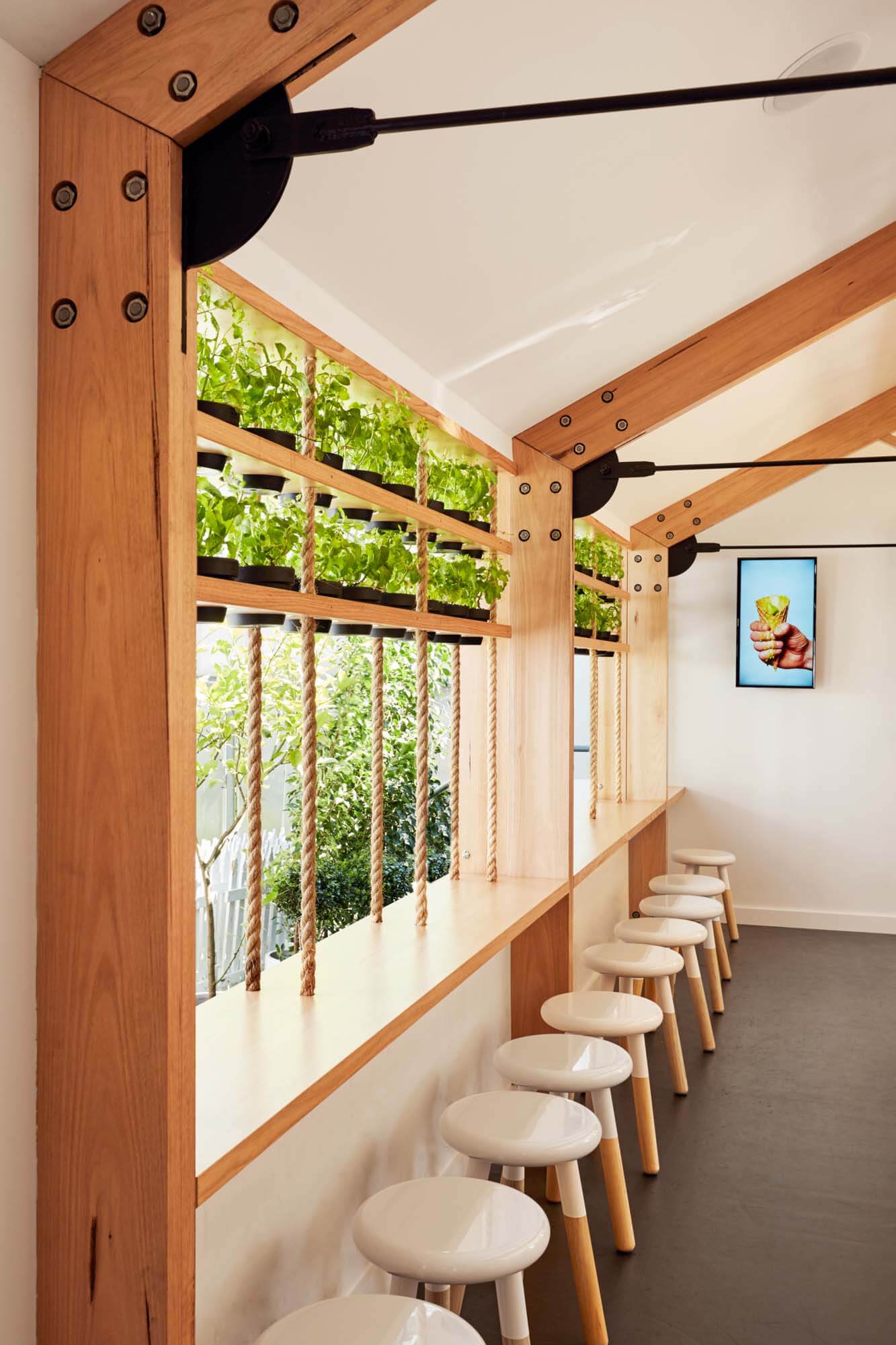 window portals embodied with suspended planters and rope detailing ...